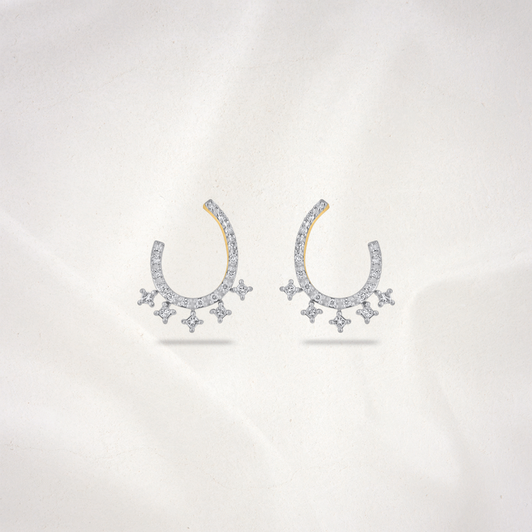 Roger Roy - Depuis 1958