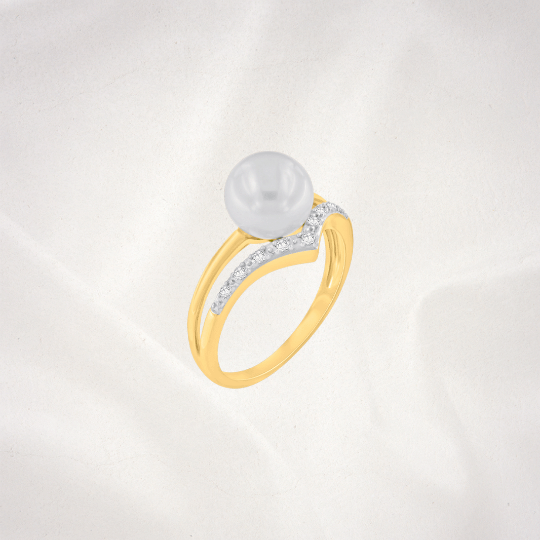 Roger Roy - Depuis 1958